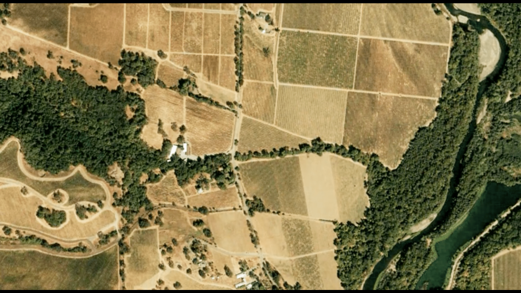 Our History – Williams Selyem